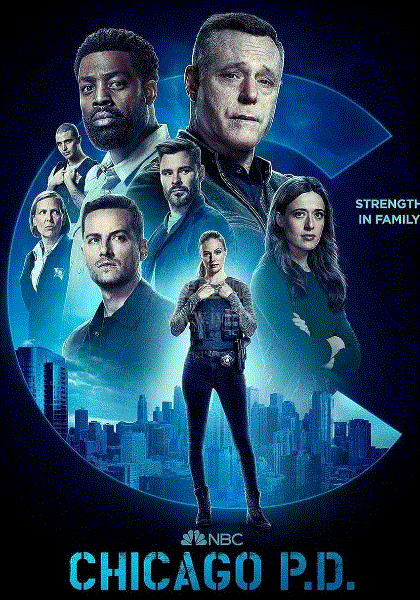 芝加哥警署第10季-免费在线观看-爱壹帆