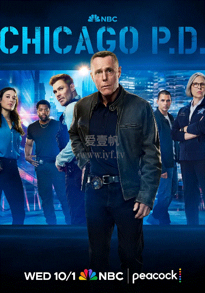 芝加哥警署第13季-免费在线观看-爱壹帆